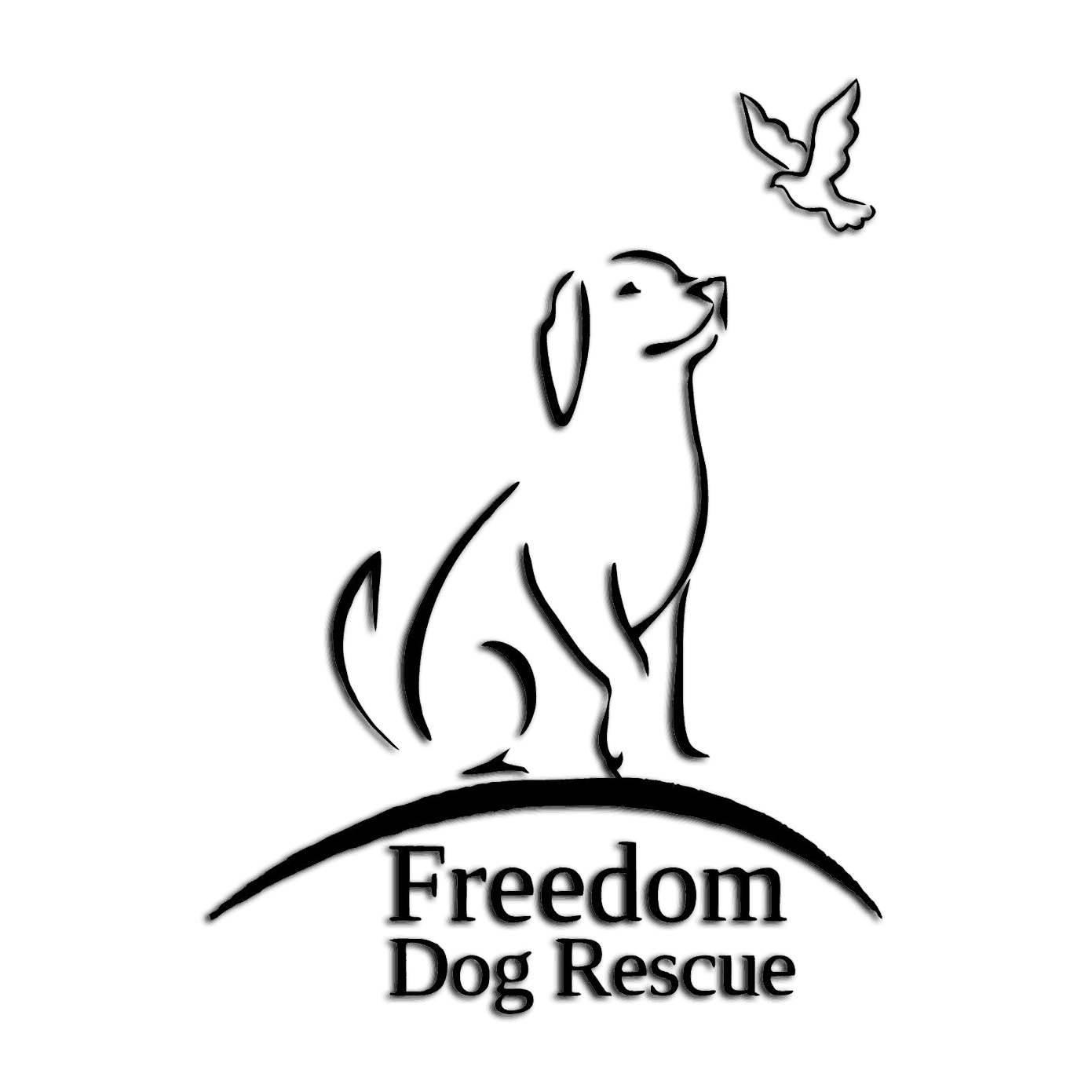 Mimi the Chiweenie - Ottawa Gatineau International Auto Show